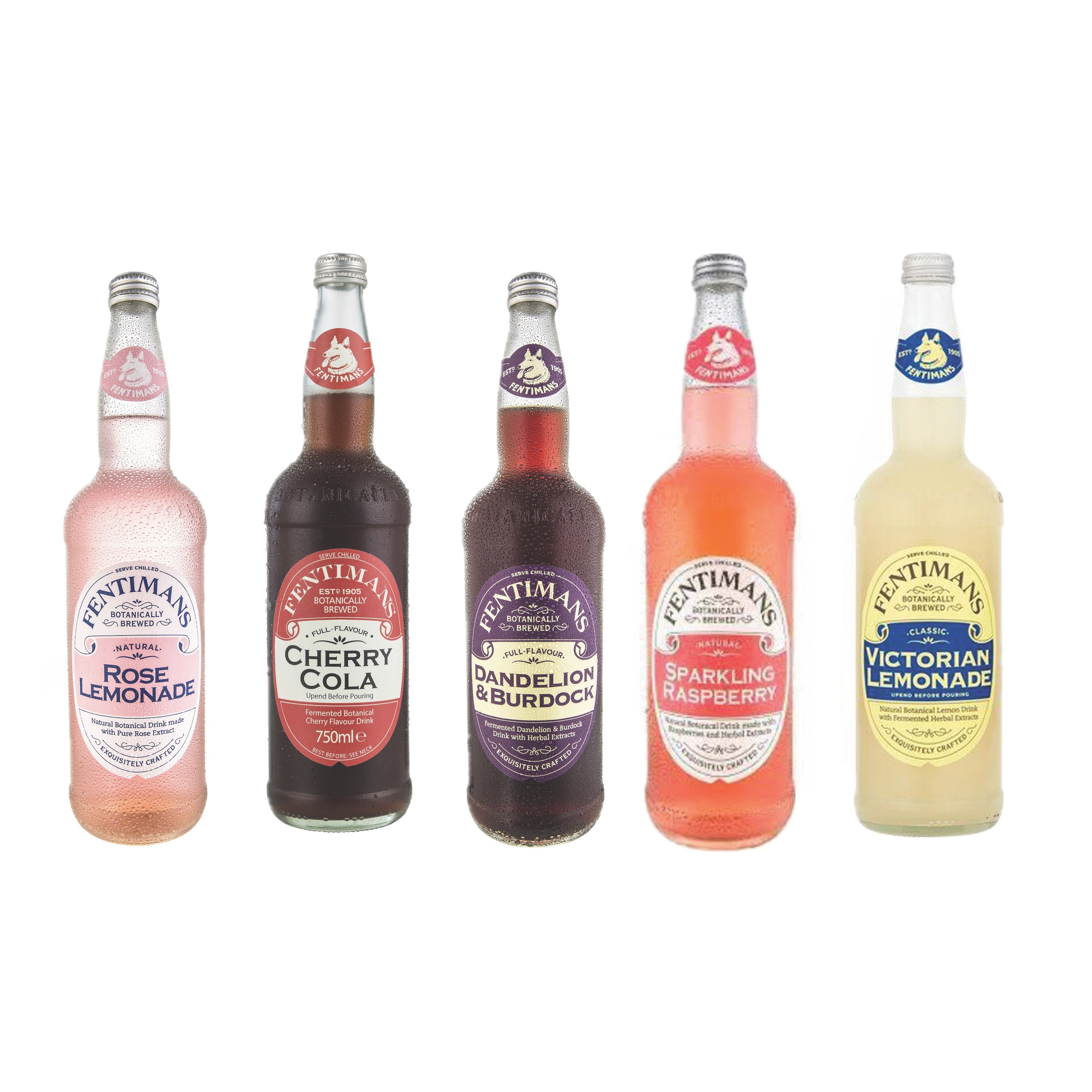 Dale Leisure - Fentimans Bottled Drink 750ml (Box of 6)